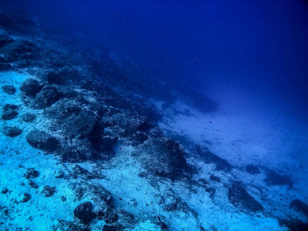 Daughter discovers an astounding sight when she places dad's ashes ...