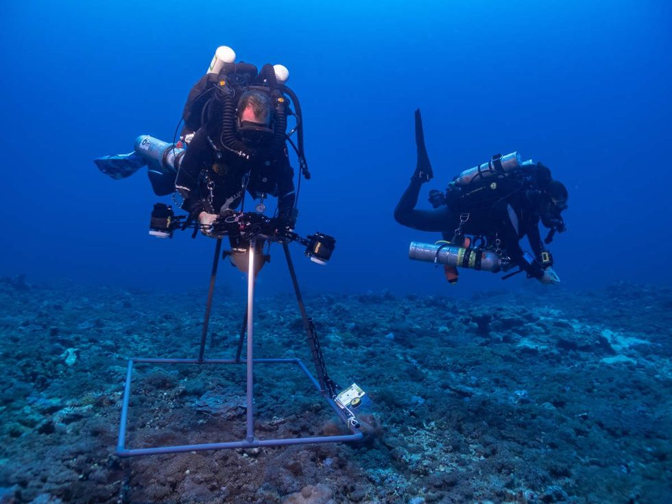 Daughter discovers an astounding sight when she places dad's ashes ...