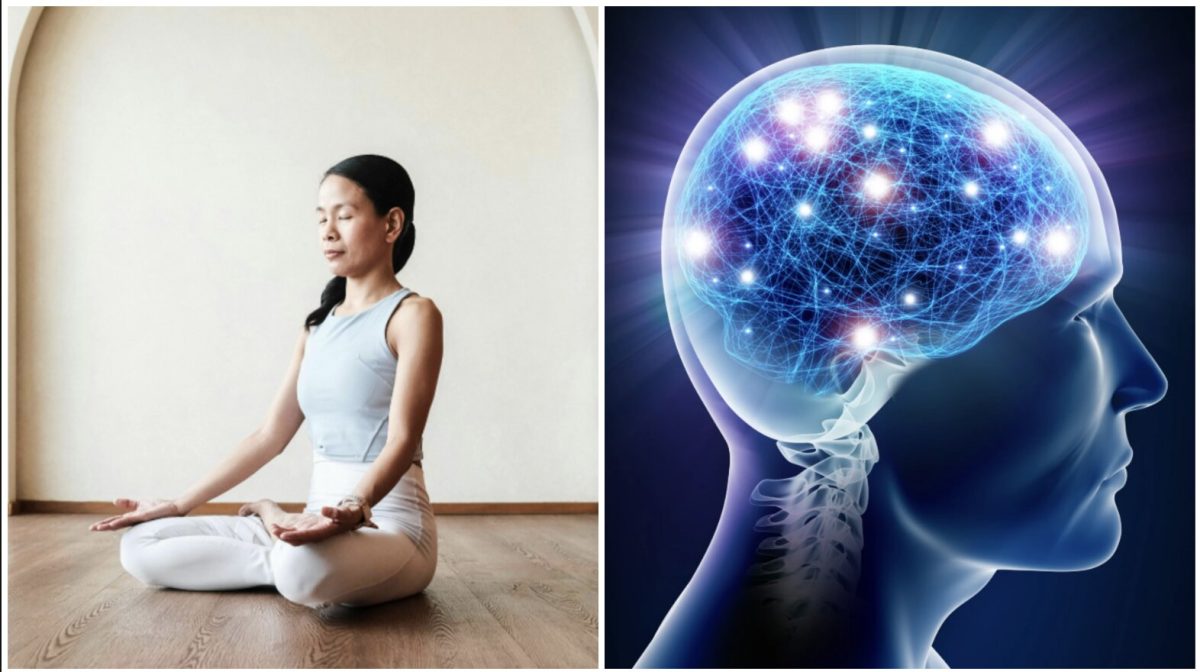 Scientists discover how long it takes for the brain to alter and change ...